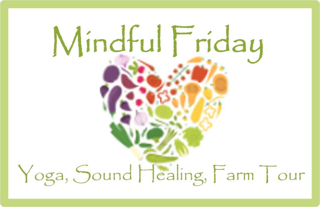 Mindful Friday coming in June! | Bounty & Soul